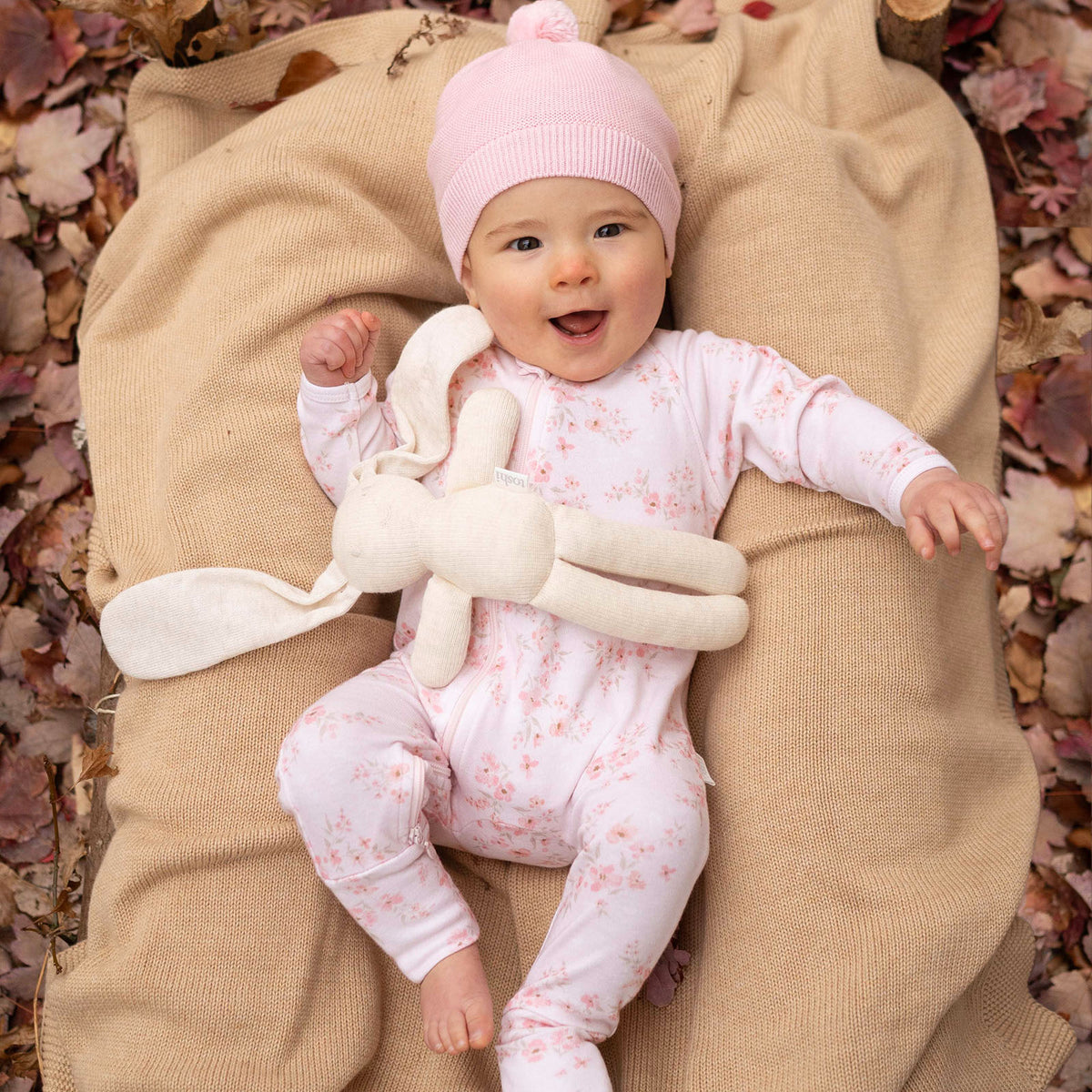 Toshi – Lilly Cooper