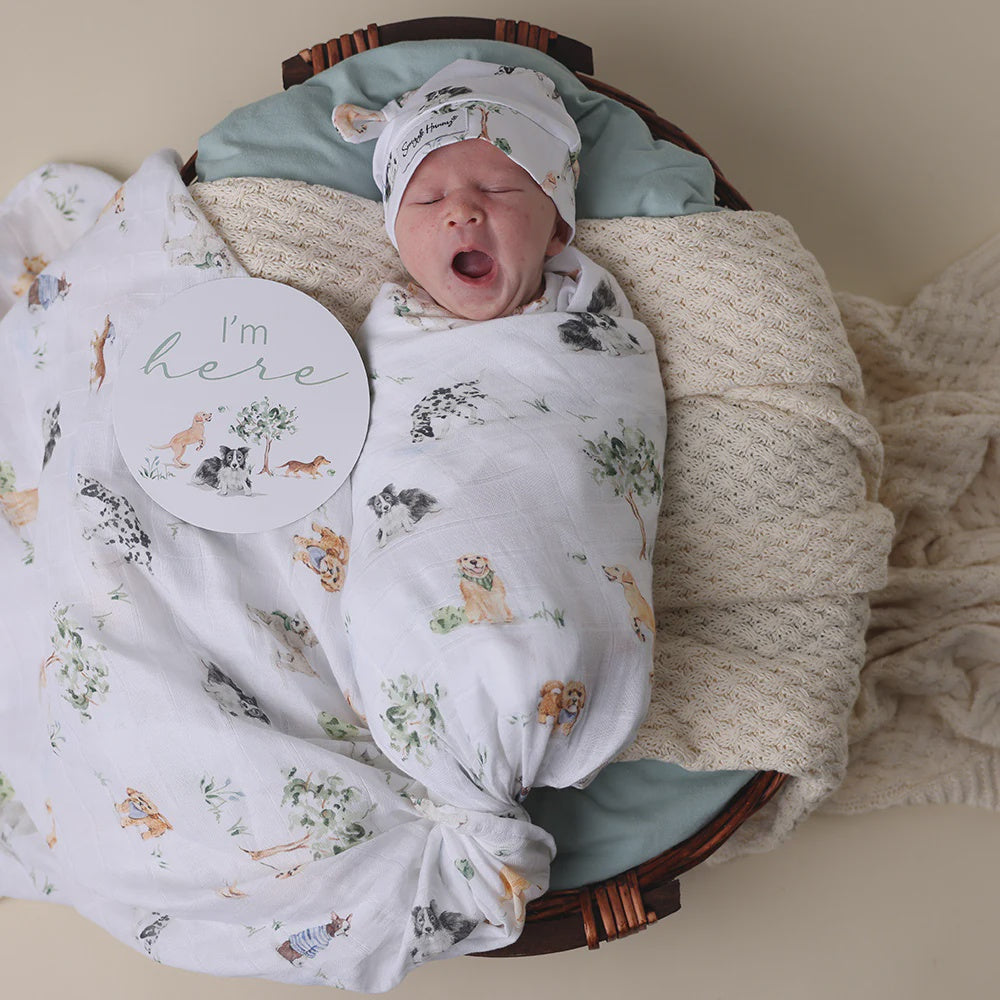 Baby – Lilly Cooper