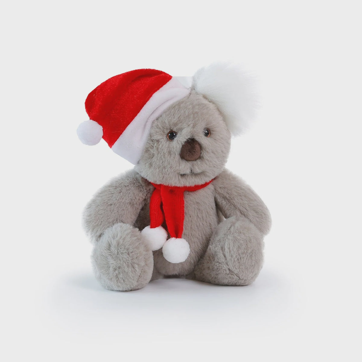 Carol Koala – Lilly Cooper