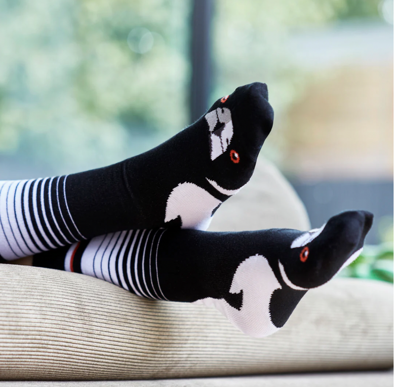 Lilly cooper - Canberra's one stop gift shop