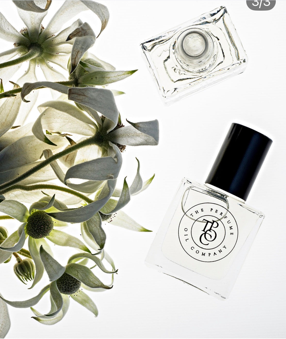 Romeo Perfum oil – Lilly Cooper